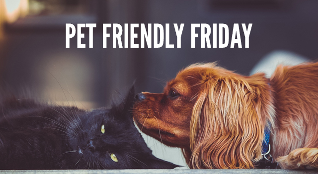 Pet Friendly Friday | KWWR-FM